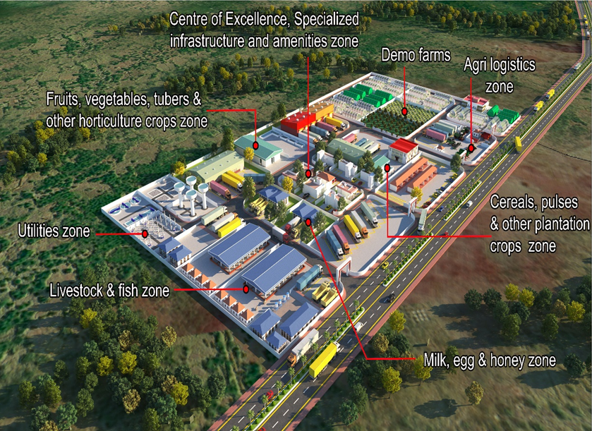 Integrated Agro-Industrial Park and Rural Transformation Centers at ...